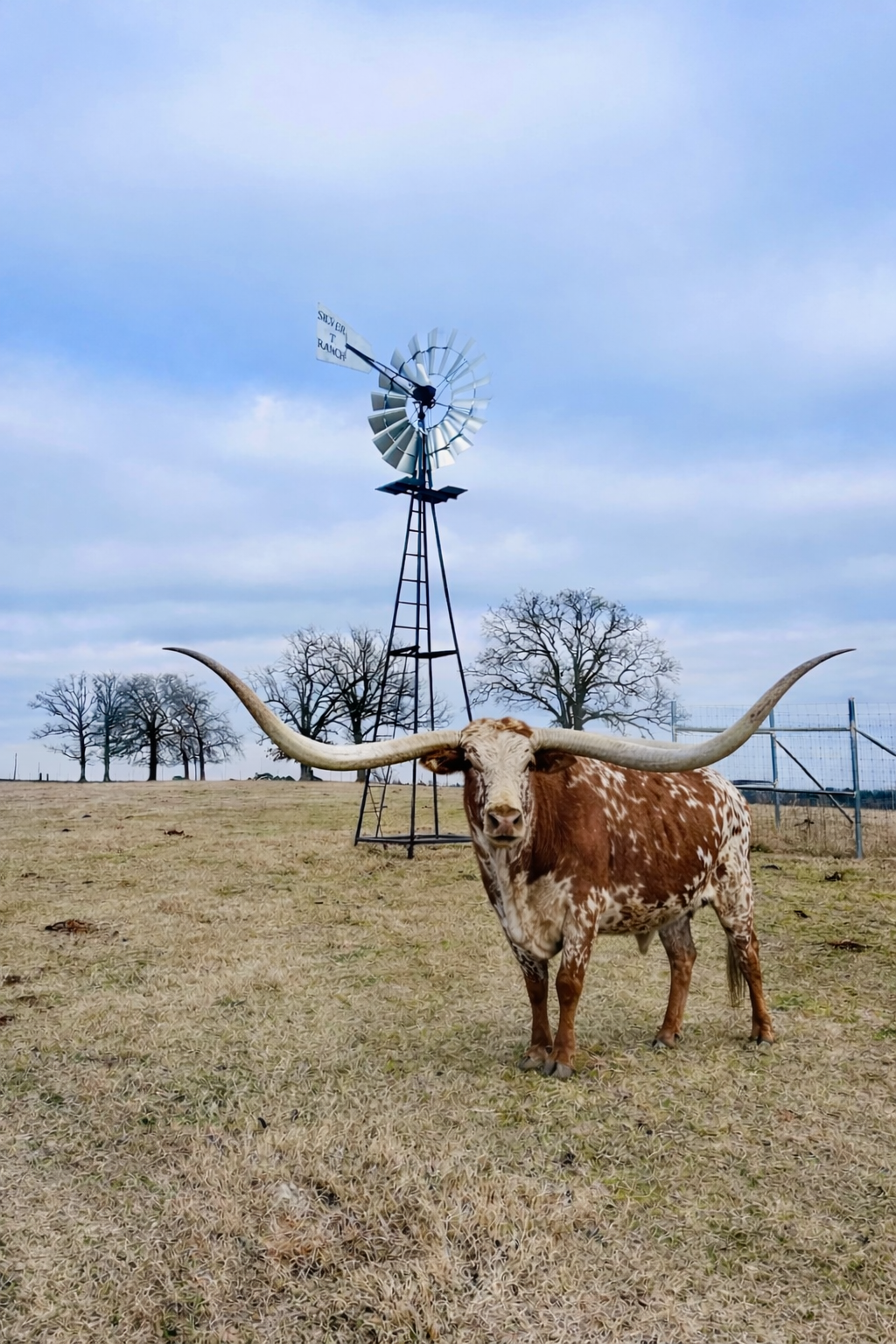 Midwest Windmill Company | American-Made Farm Windmills — Sales ...